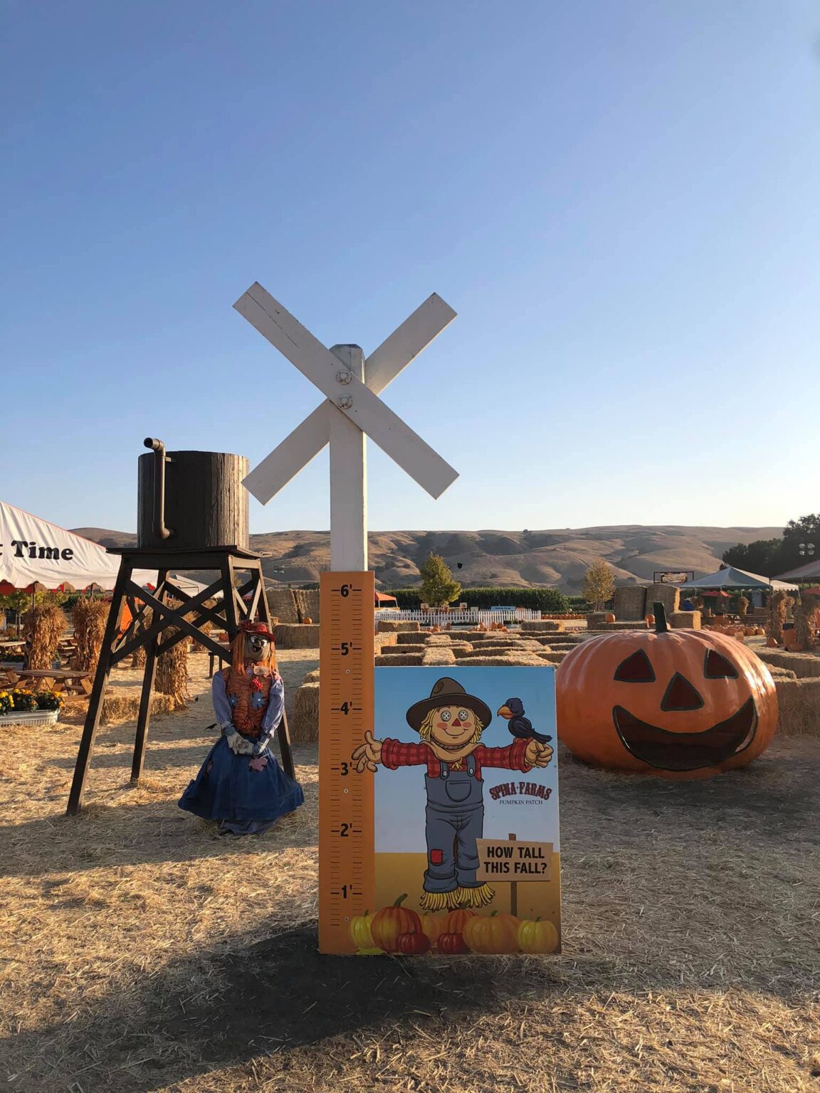 Gallery - Spina Farms Pumpkin Patch