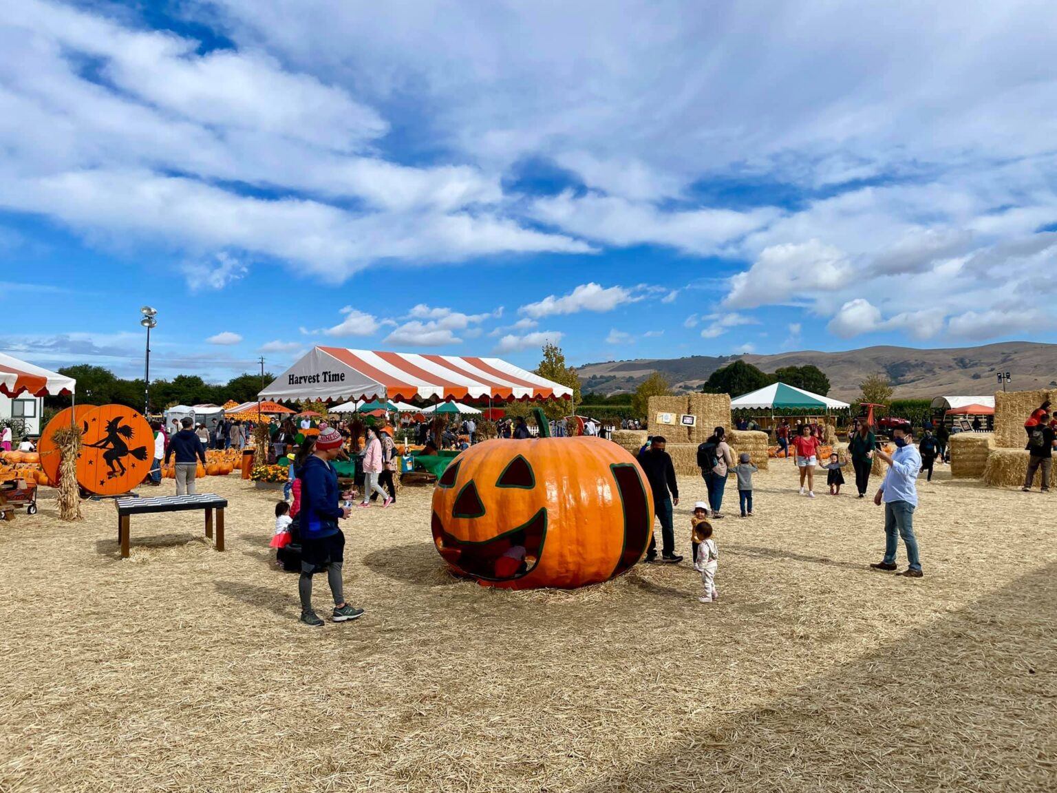 Gallery - Spina Farms Pumpkin Patch