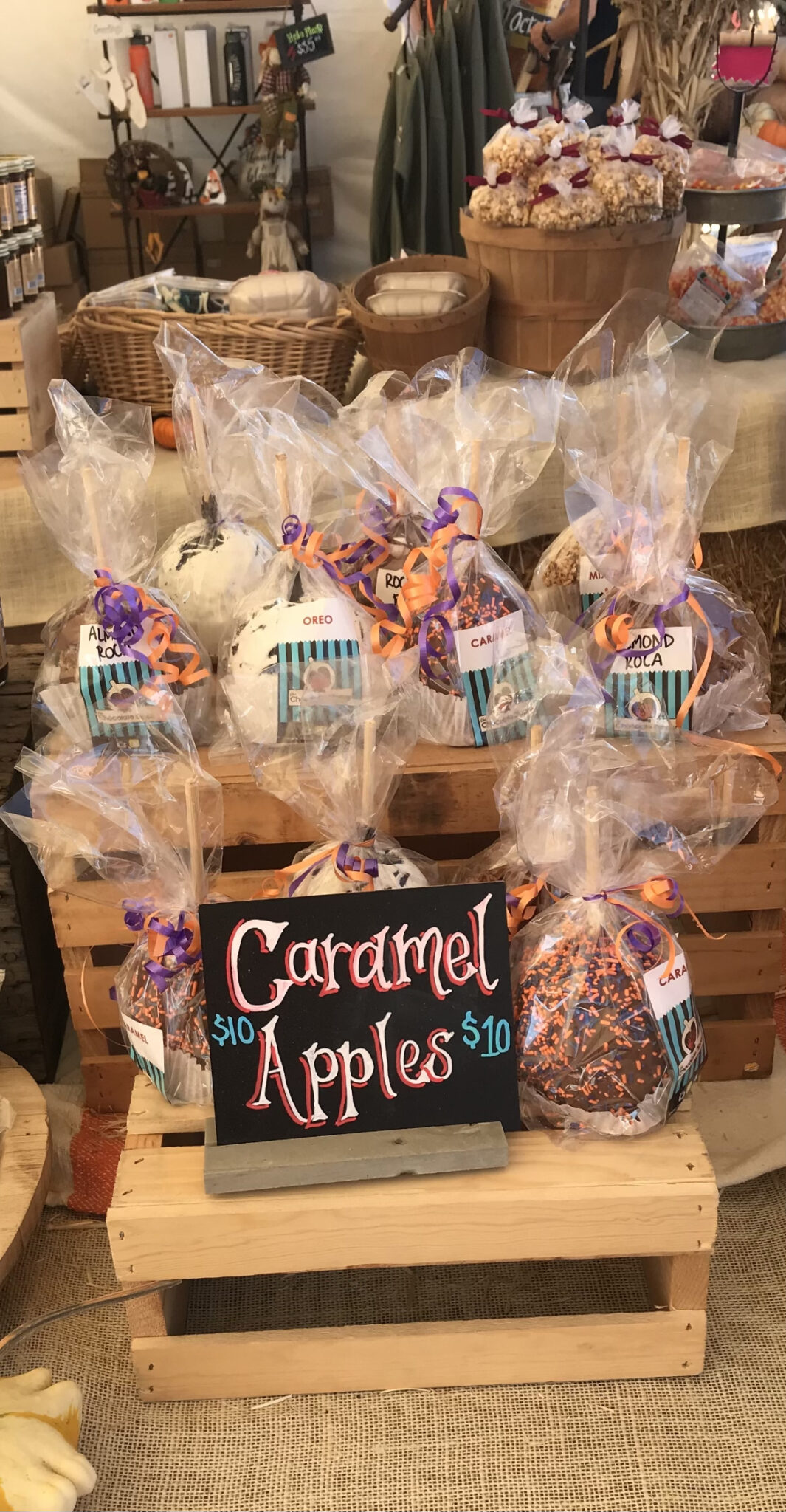 Gallery - Spina Farms Pumpkin Patch