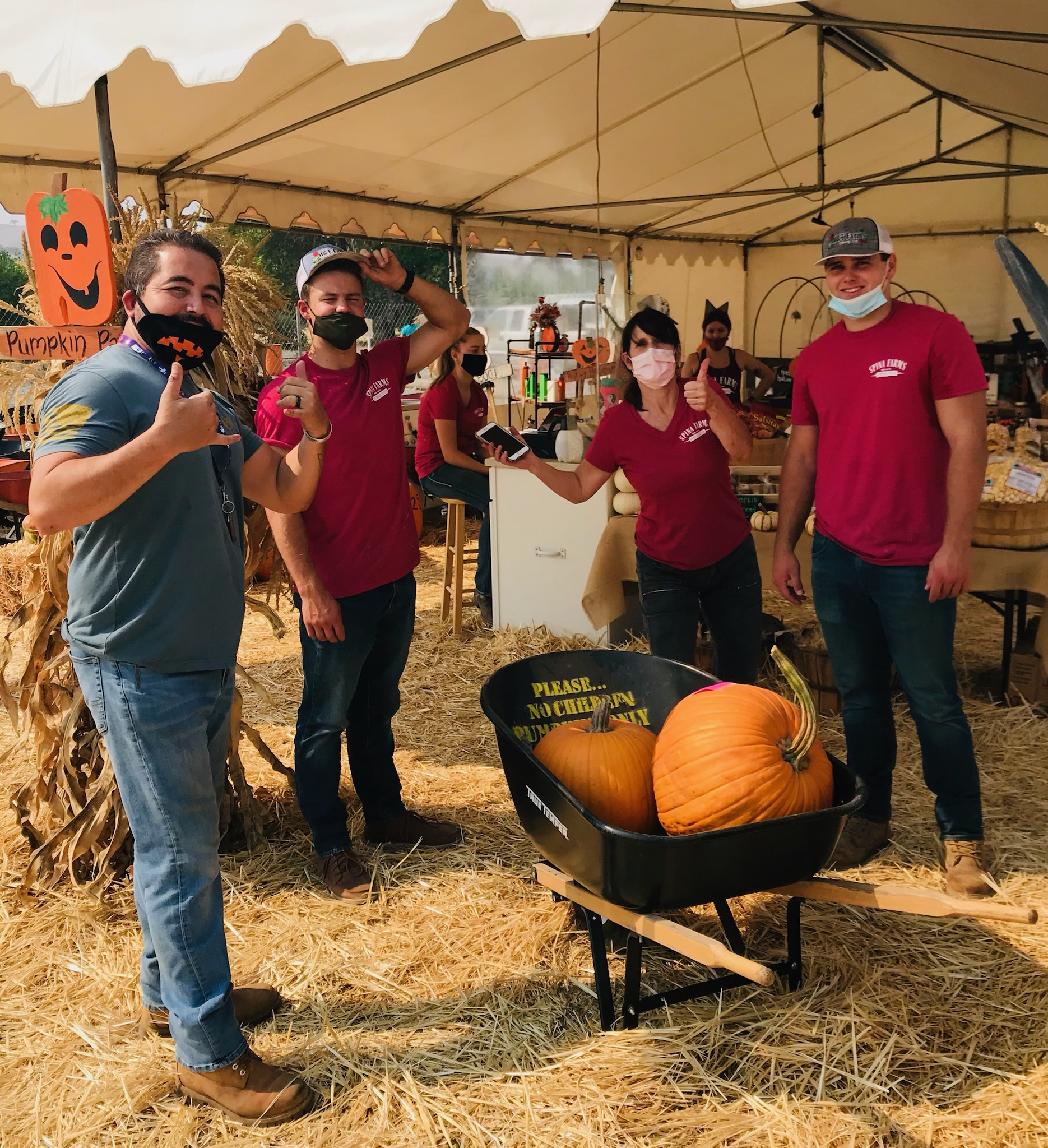 Gallery - Spina Farms Pumpkin Patch